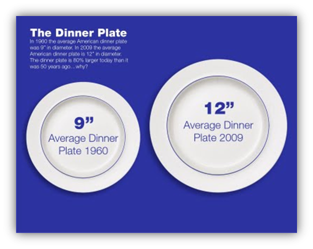 Average Dinner Plate Size Amulette average-dinner-plate-size-amulette