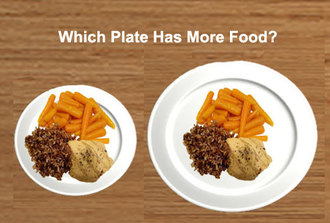 Average Dinner Plate Size | amulette
