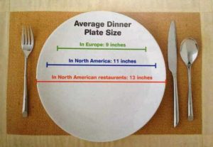 Average Dinner Plate Size | amulette