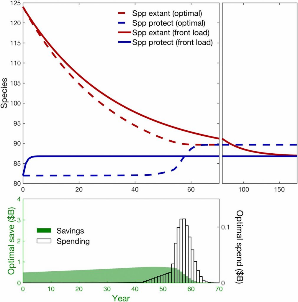 Bond Sinking Fund On Balance Sheet | amulette