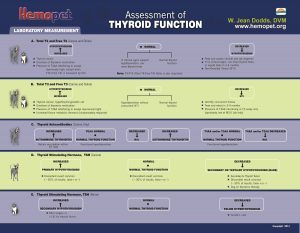 Thyroid Chart | amulette