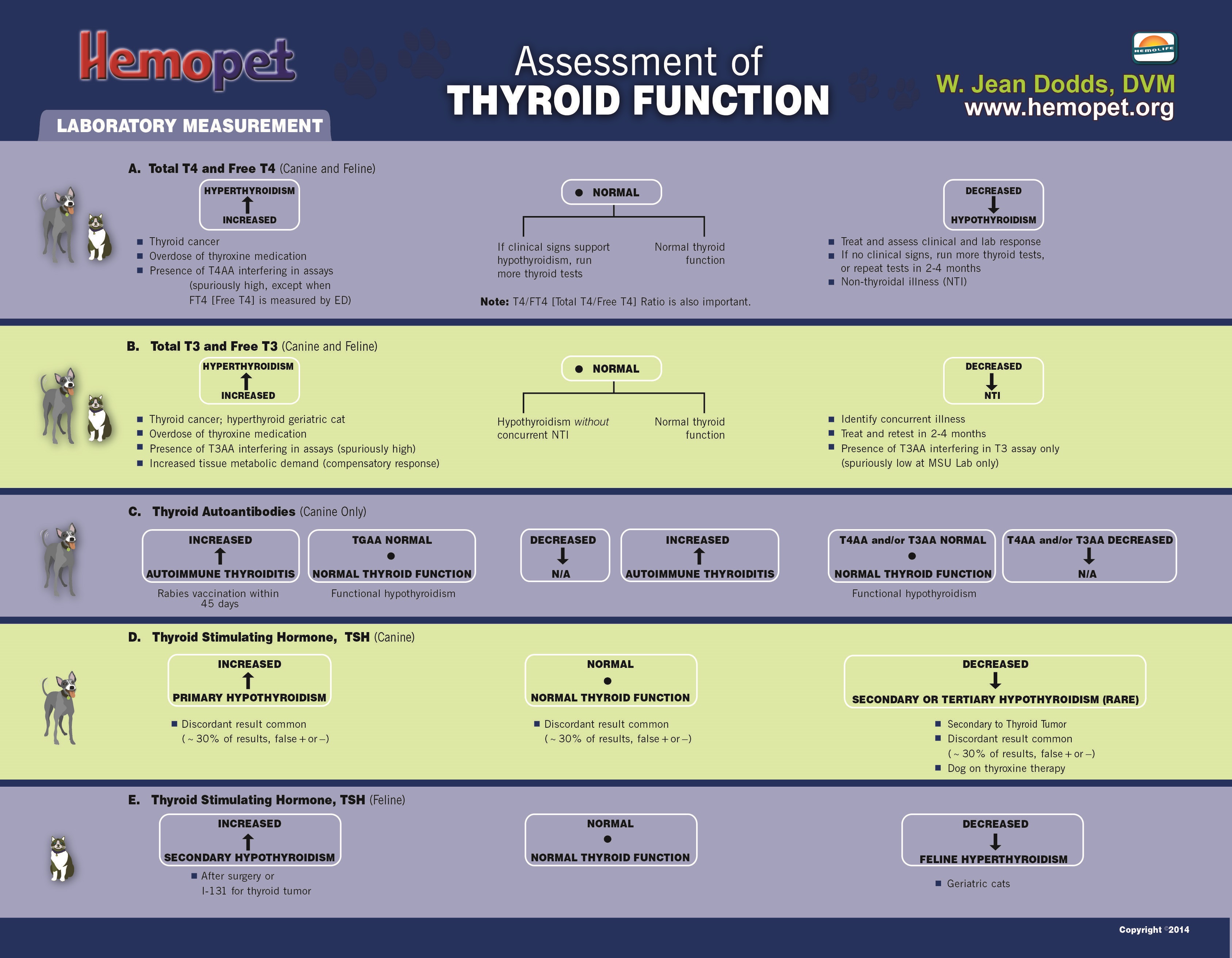 Thyroid Chart | amulette