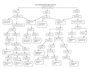 Microbiology Flowchart Unknown Bacteria | amulette