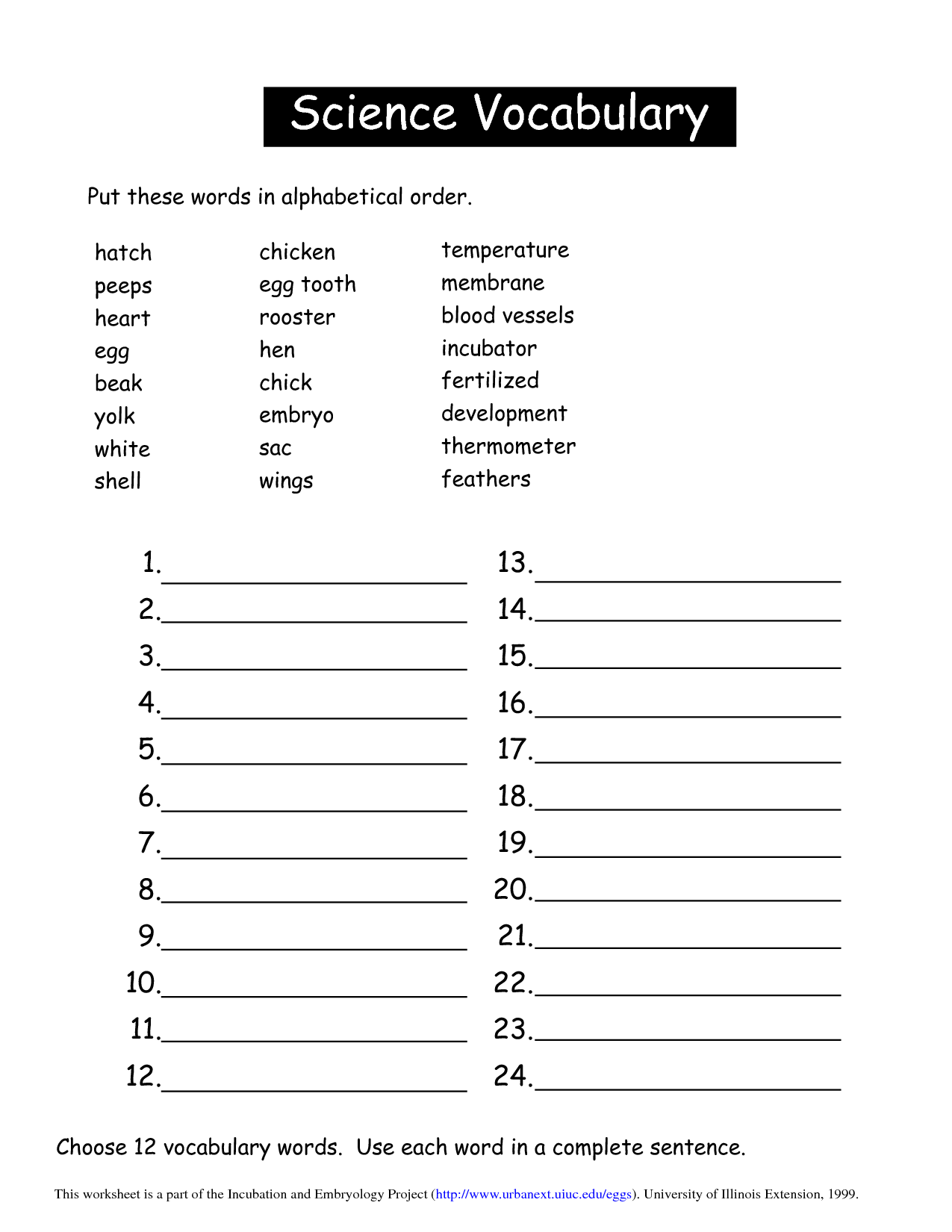 Science Worksheets For Preschool Worksheet24
