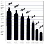 Welding Gas Cylinder Size Chart | amulette